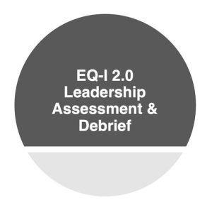 EQ-i2.0 Assessments for Succession Planning - Ei Advantage